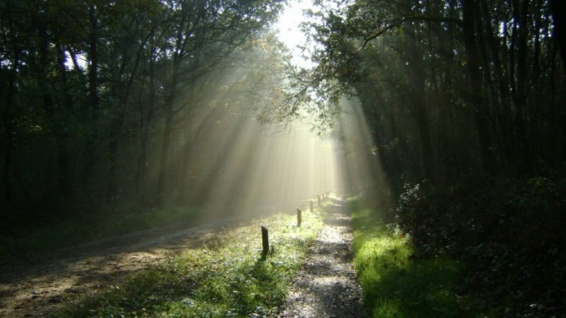 Rondje Wapse - Arrangementen - Ideaal dagje uit - Het Fytshûs